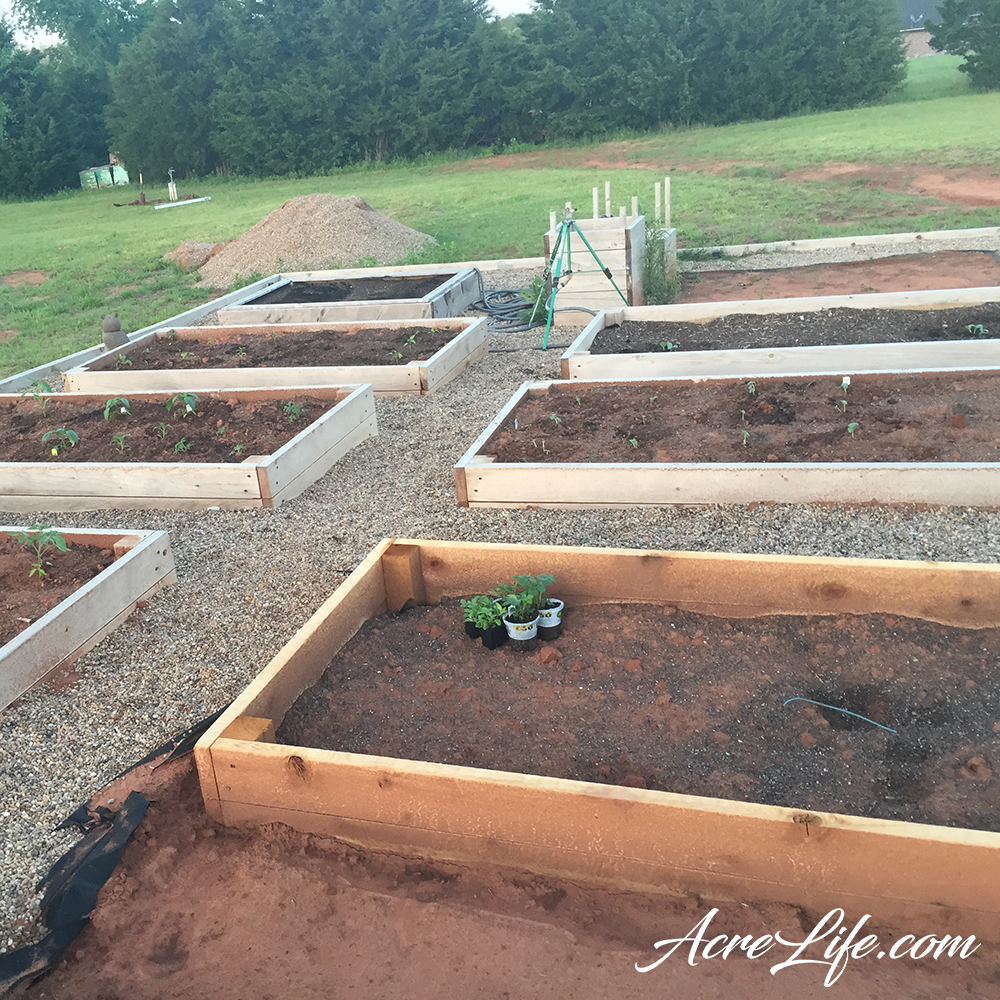Building Raised Beds