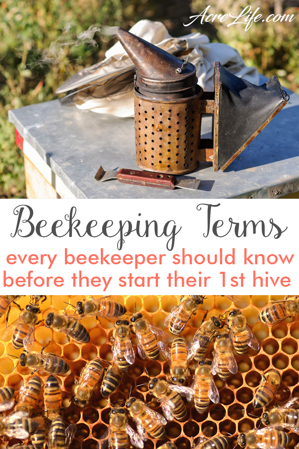 Beekeeping Terminology