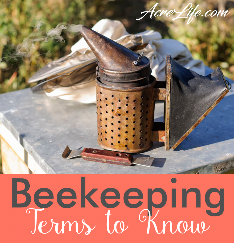 Beekeeping Terminology