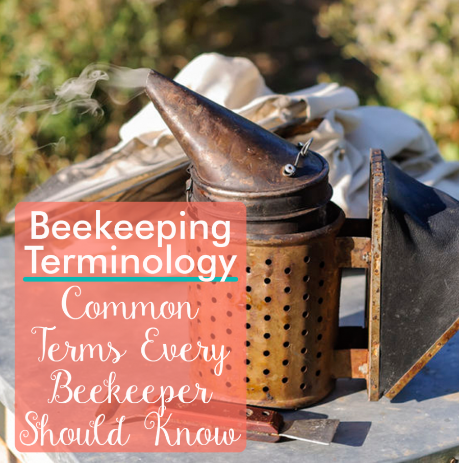 Beekeeping Terminology