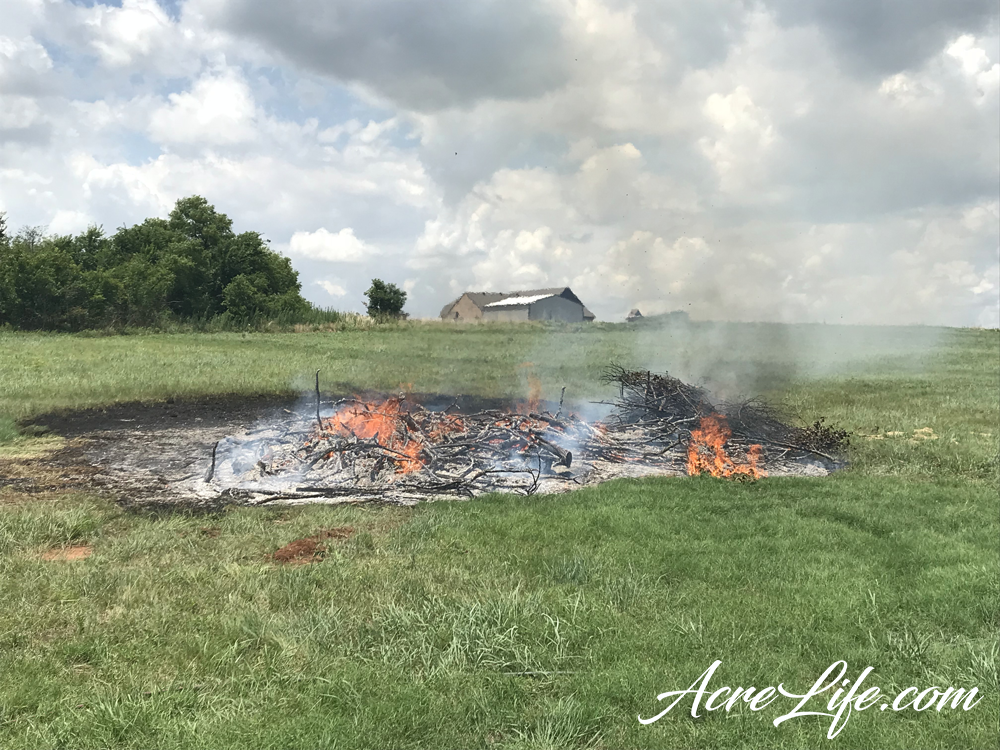 Burned Cedar Branches – Acre Life