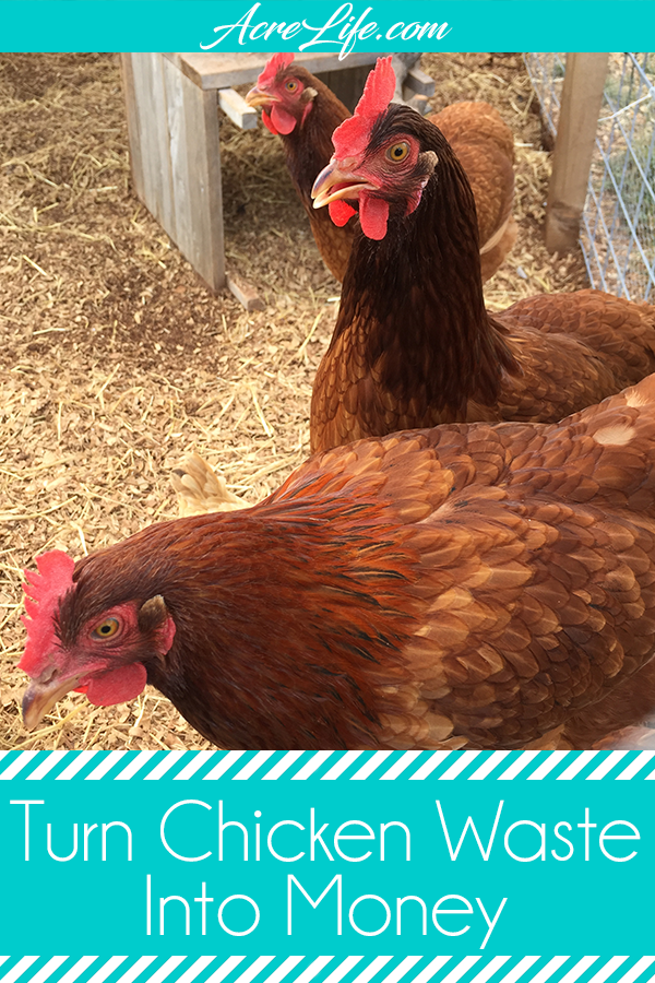Composting Chicken Poop Manure Acre Life