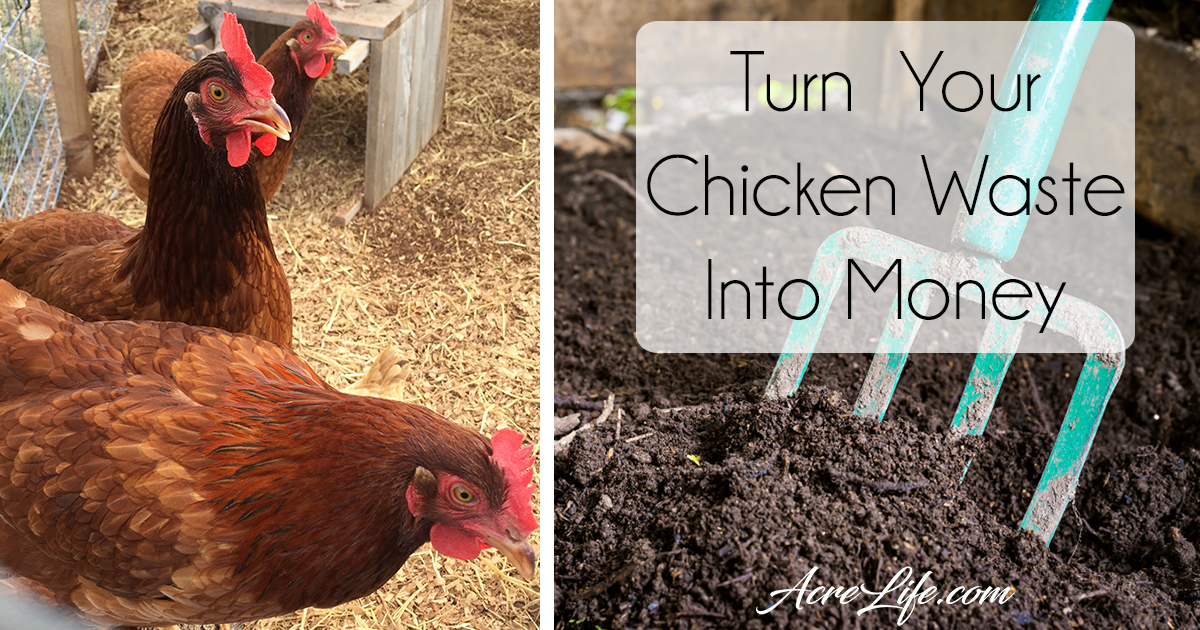 Composting Chicken Poop Manure Acre Life Garden