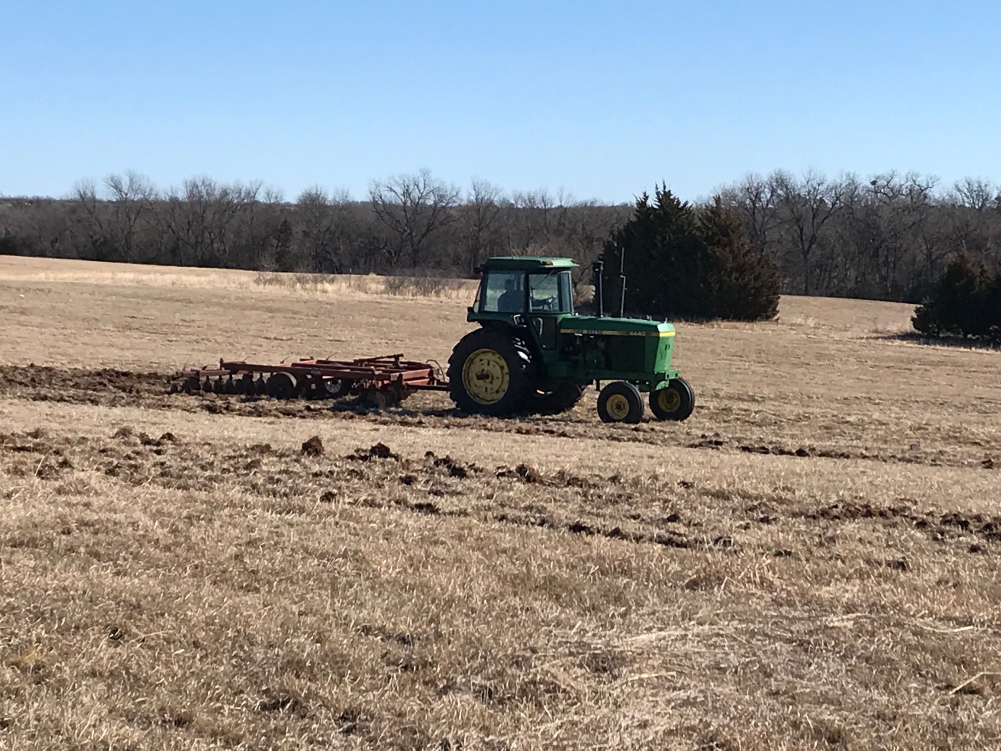 Wildflower Seed Planting Instructions