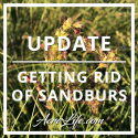 How to Get Rid of Stickers or Sand Burrs