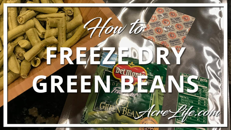 Freeze Dry Green Beans At Home